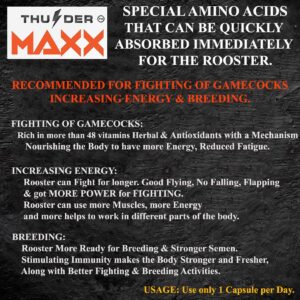 Thunder New Max Vitamins Health Supplement Capsules Rooster Booster Chicken Increasing Energy Formula Feed Cock Fighting Gamecocks, Good Breeding, Stronger & More Power, Healthy 90 Capsules Hen Food