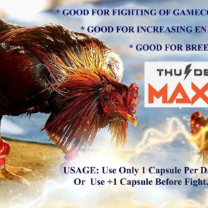 Thunder New Max Vitamins Health Supplement Capsules Rooster Booster Chicken Increasing Energy Formula Feed Cock Fighting Gamecocks, Good Breeding, Stronger & More Power, Healthy 90 Capsules Hen Food