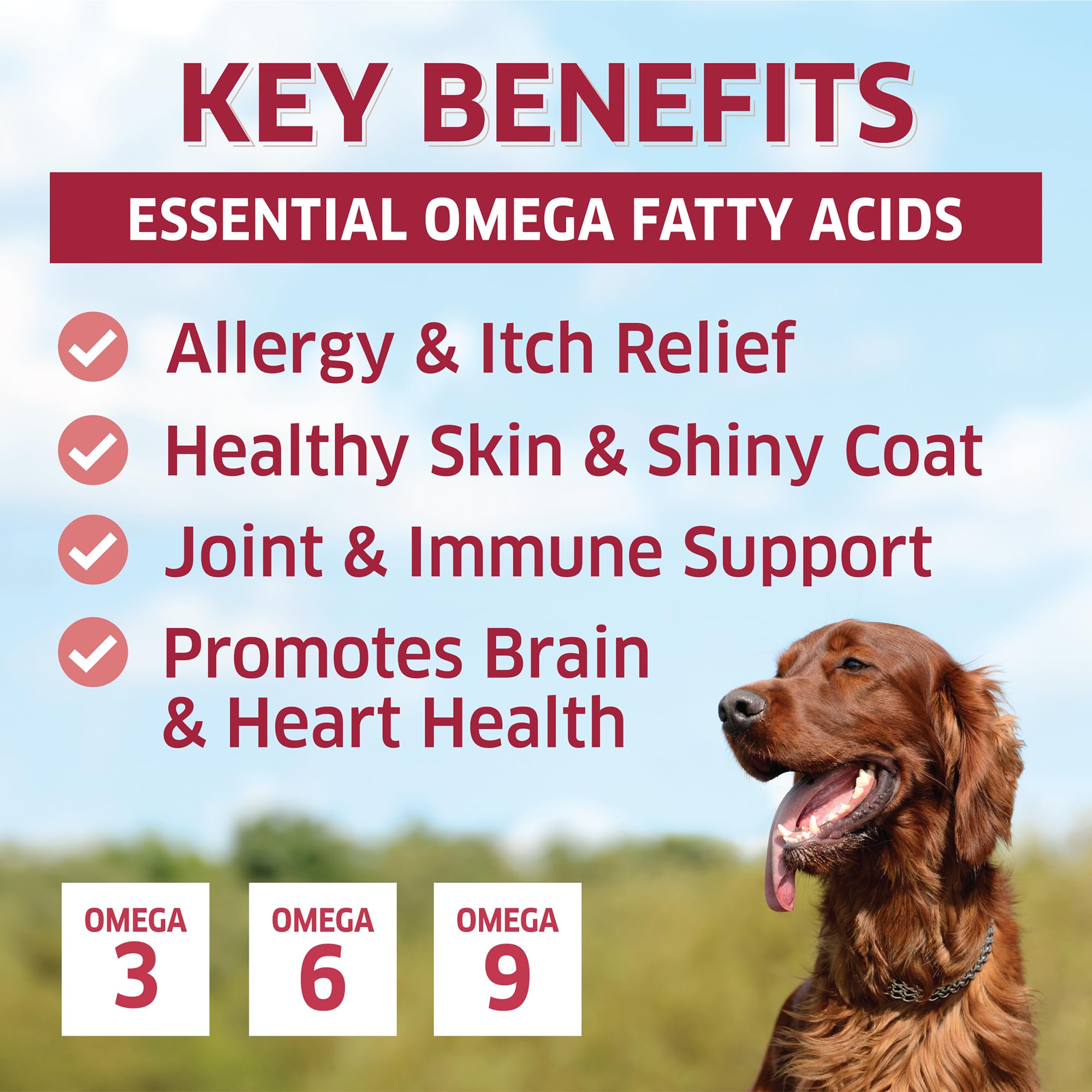 Salmon Oil for Dogs - Wild Alaskan Fish Oil for Dogs - Omega 3 for Dogs - Itch Relief for Dogs - Dog Joint Health - Dog Allergy Relief- Dog Itch Relief - 120 Dog Fish Oil Soft Chews