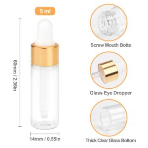 Empty Transparent Glass Bottles Containers Vials Holder,5ml Essential Oil Glass Dropper Bottle Makeup Sample Storage Containers With Gold Head Glass Dropper &White Dropper Cap&2pcs Straws,50pcs