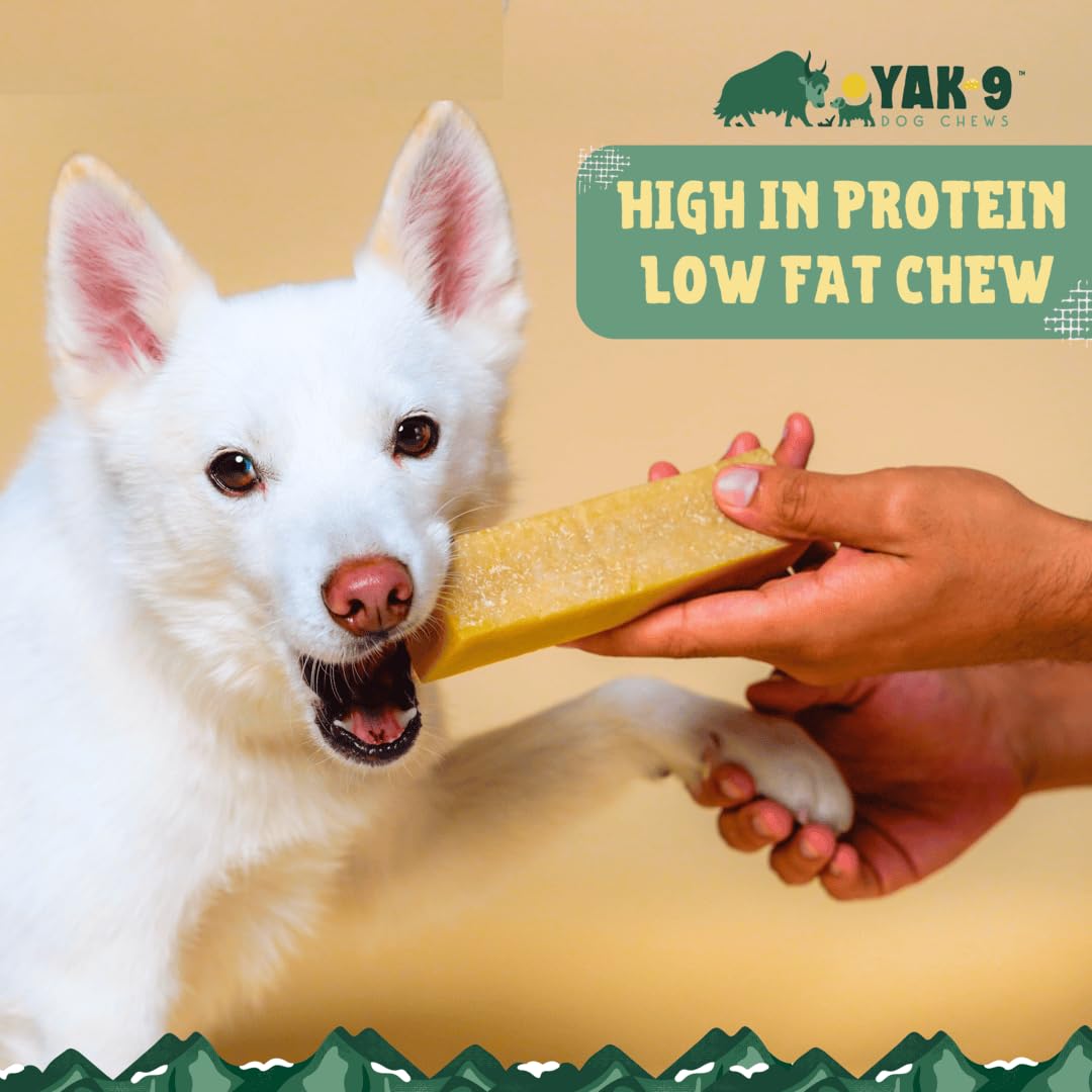 Yak9 Cheese Dog Chews, High Protein Dog Treats, Natural Ingredients, Long Lasting Dog Chews, Dog Treats for Medium Breeds Under 75 Lbs, Rawhide Free, Non GMO, Gluten Free, Grain Free, Coconut, 1 pc