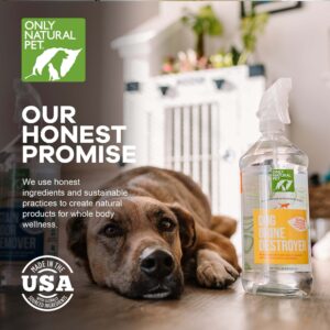 Only Natural Pet Enzyme Powered Stain & Odor Eliminator - Professional Pet Urine Pee Cleaner Deodorizer for Dogs - Hardwood Floors Carpets Upholstery - Eucalyptus & Rosemary Scent - 32Floz