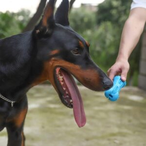 Emoly Dog Toothbrush Care Cleaning Stick - Dog Toothbrush Chew Toy Stick for Dog Dental Care- Safe, Bite Resistant Natural Rubber Toy Bone for Teeth Cleaning- Suitable for All Breed of Dogs (Blue)