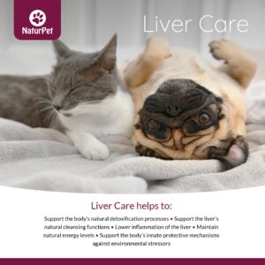 NaturPet Liver Care for Cats and Dogs | Milk Thistle Extract to Support Pets Health | 100mL