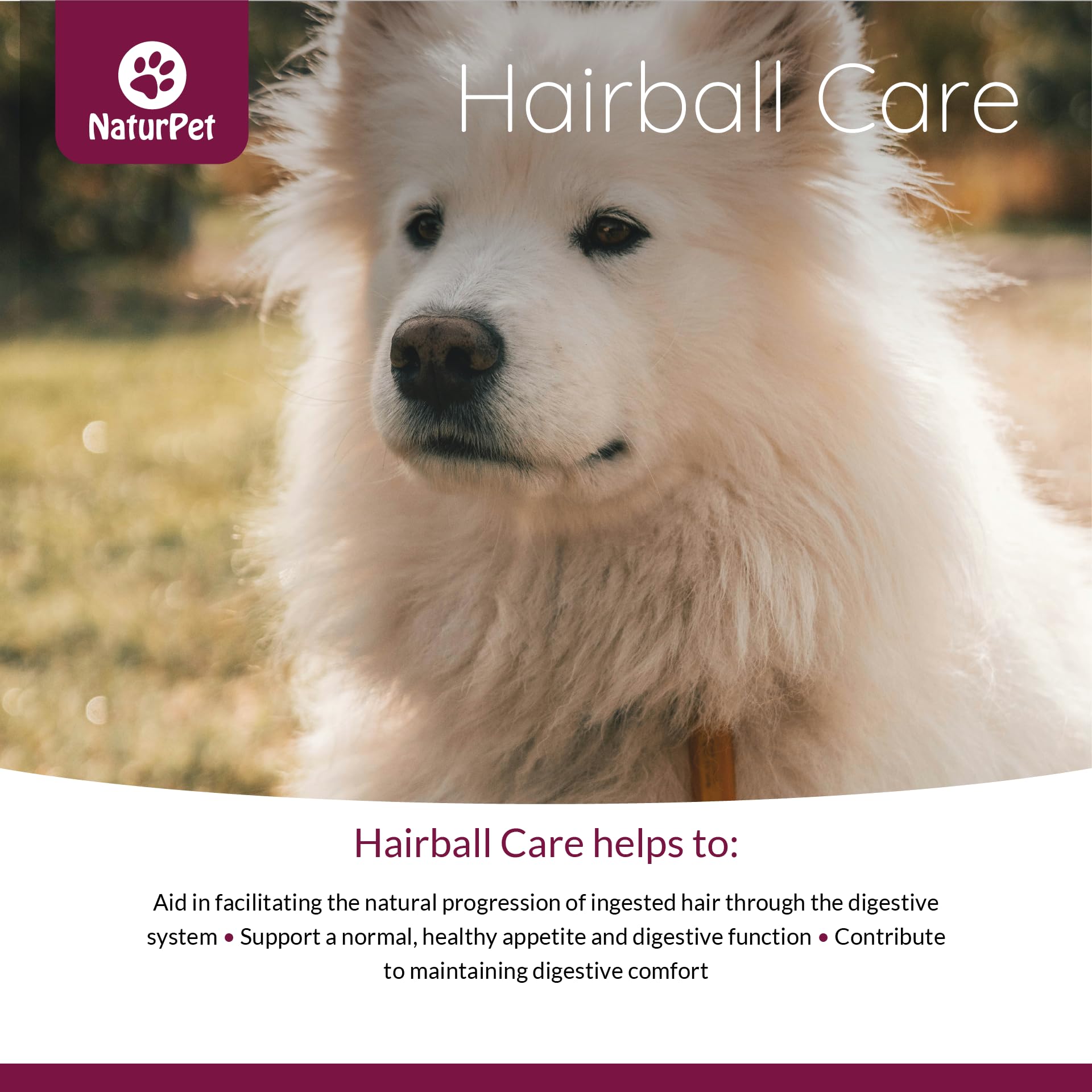 NaturPet Hairball Care | Natural Herbal Drops to Support Digestion, Hairballs, Gas, Bloating | Cats& Dogs | 100mL