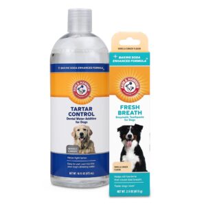 arm & hammer for pets combo pack dog dental tartar control water additive and fresh breath vanilla ginger enzymatic toothpaste | includes 16 oz dog water additive and 2.5 oz dog toothpaste