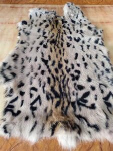 bobcat print tanned rabbit fur pelt hide (10" by 12" rabbit pelt with sewing quality leather)