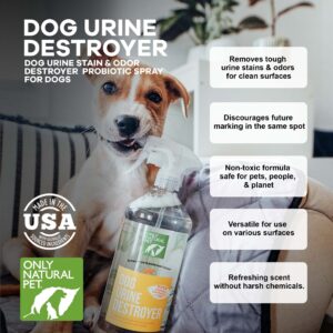 Only Natural Pet Enzyme Powered Stain & Odor Eliminator - Professional Pet Urine Pee Cleaner Deodorizer for Dogs - Hardwood Floors Carpets Upholstery - Eucalyptus & Rosemary Scent - 32Floz