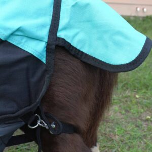 CHALLENGER 58" 1200D Miniature Weanling Donkey Pony Horse Foal Winter Blanket Teal 51945