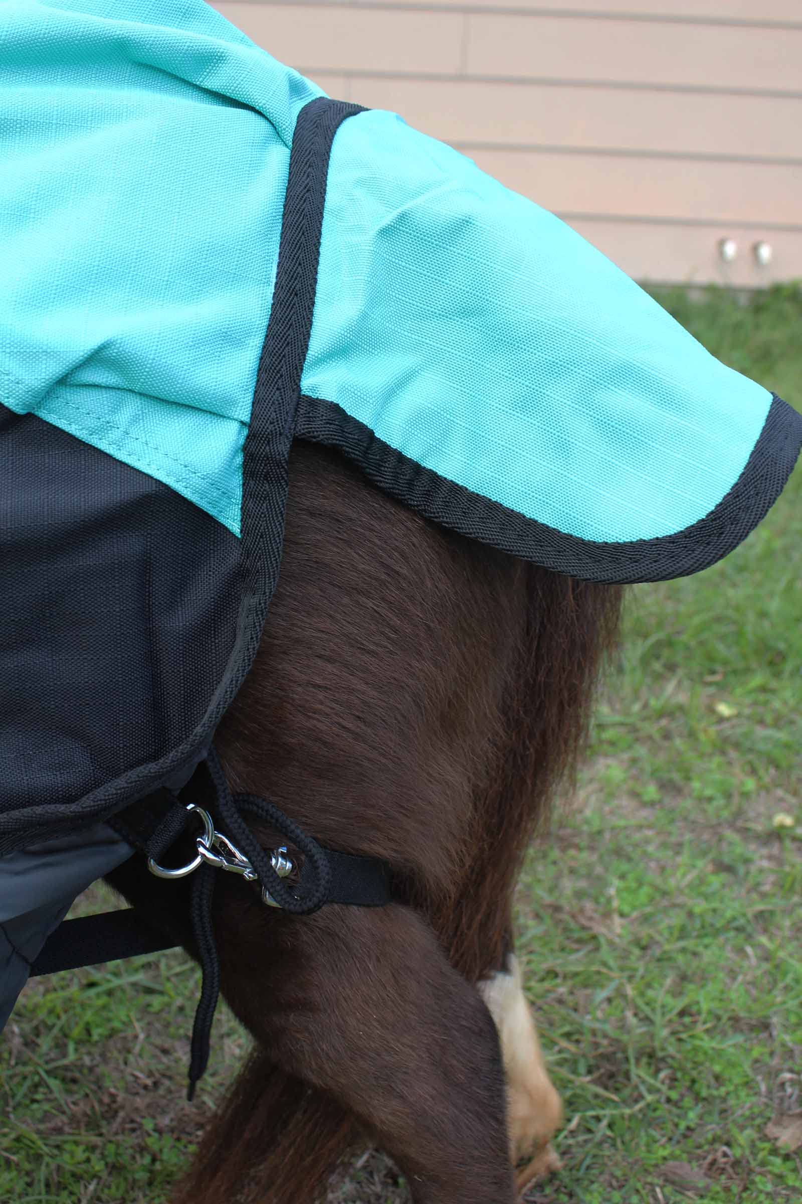 CHALLENGER 58" 1200D Miniature Weanling Donkey Pony Horse Foal Winter Blanket Teal 51945