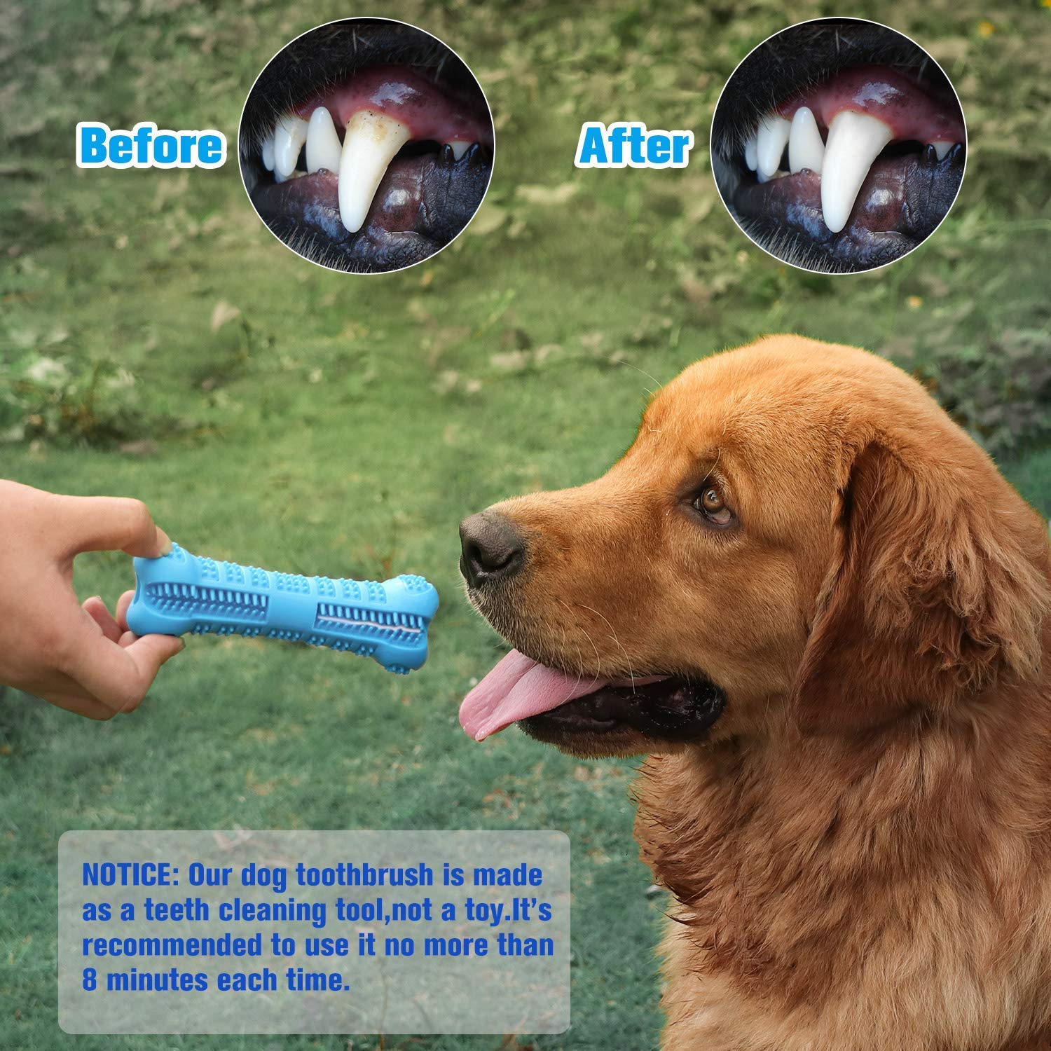 Emoly Dog Toothbrush Care Cleaning Stick - Dog Toothbrush Chew Toy Stick for Dog Dental Care- Safe, Bite Resistant Natural Rubber Toy Bone for Teeth Cleaning- Suitable for All Breed of Dogs (Blue)