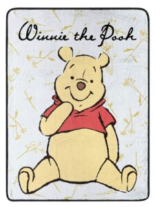 disney winnie the pooh silly bear fleece super plush throw blanket 46" x 60" (117cm x 152cm)