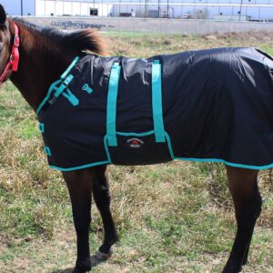 CHALLENGER 58" 1200D Miniature Weanling Donkey Pony Horse Foal Winter Blanket Teal 51945