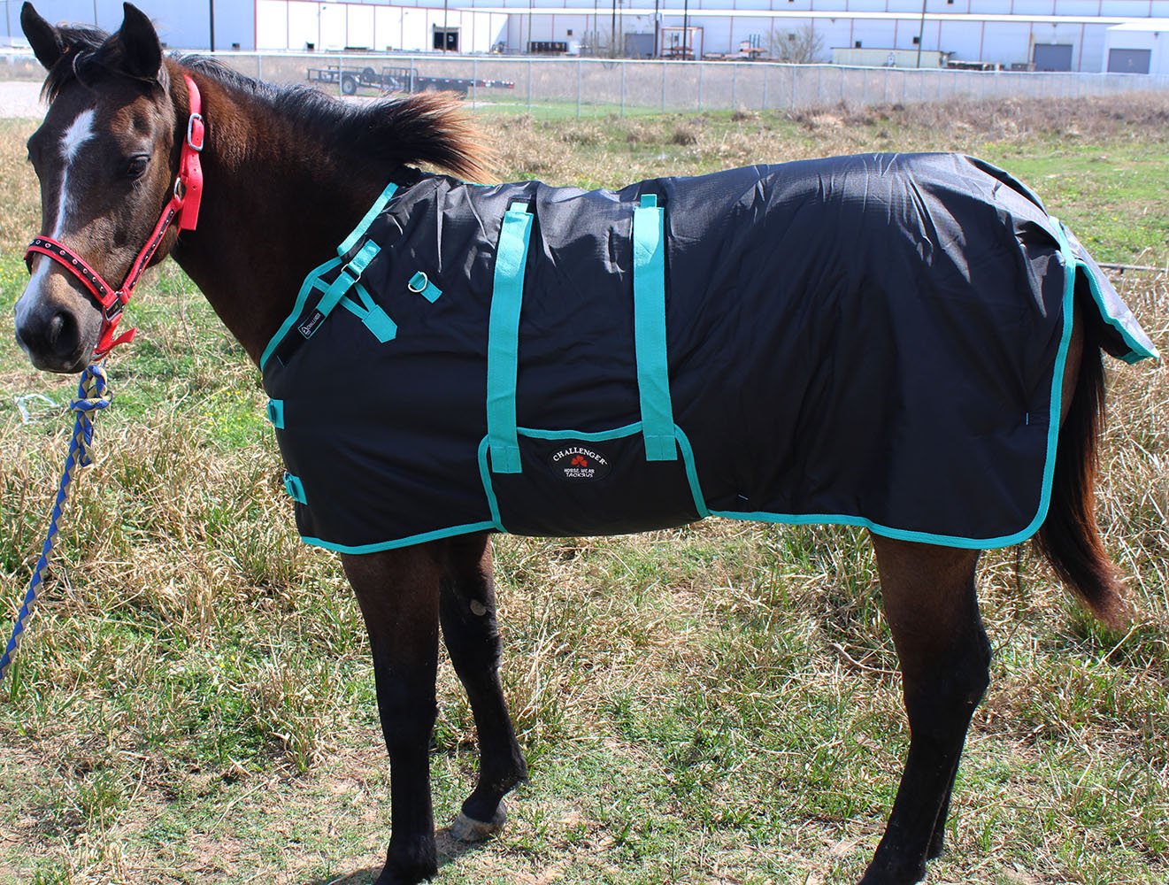 CHALLENGER 58" 1200D Miniature Weanling Donkey Pony Horse Foal Winter Blanket Teal 51945