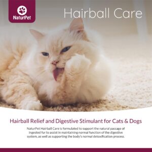 NaturPet Hairball Care | Natural Herbal Drops to Support Digestion, Hairballs, Gas, Bloating | Cats& Dogs | 100mL