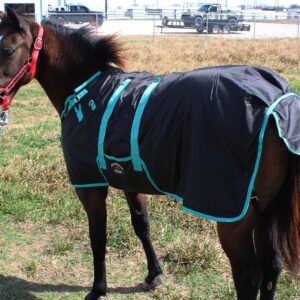 CHALLENGER 58" 1200D Miniature Weanling Donkey Pony Horse Foal Winter Blanket Teal 51945