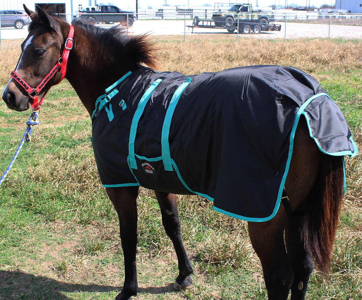 CHALLENGER 58" 1200D Miniature Weanling Donkey Pony Horse Foal Winter Blanket Teal 51945