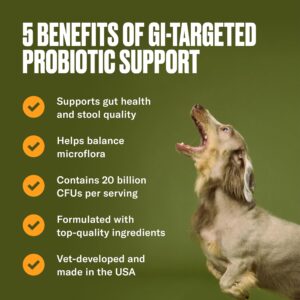 Nom Nom Dog GI-Targeted Probiotic Support - with Prebiotic Fiber, Inulin, and Saccharomyces boulardii - Gut Health Dog Probiotics for Gastrointestinal and Stomach Relief (GI Powder)