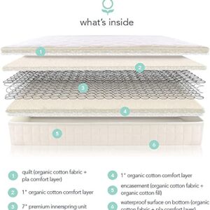 Naturepedic 2-in-1 Organic Kids Mattress - Twin Trundle Mattress with Quilted Top and Waterproof Layer - Firm Mattress for Kids - Universal Comfort Mattress for Trundle Bed and Bunk Bed