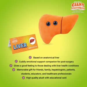 GIANTmicrobes Stuffed Liver Plush, Liver Stuffed Animal, Anatomical Liver, Hepatologist Gift, Liver Transplant Gifts, Hepatitis Gift, Hepatology Gift, Cirrhosis Gift, Liver Pillow, Liver Donor Gift