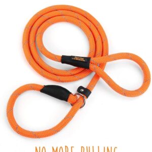 Mighty Paw 6' Slip Dog Leash - Gentle Correction with No More Pulling - Rock Climbers Rope for Ultimate Strength - Universal Design - One Size Fits All - Control When You Need It - Reflective Thread