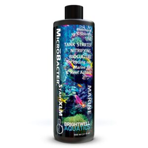 brightwell aquatics microbacter start xlm - concentrated freshwater nitrifying bacteria - quick start fish tank starter, lift microbe levels & water filtering - aquarium water treatments, 16.9 fl oz