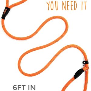 Mighty Paw 6' Slip Dog Leash - Gentle Correction with No More Pulling - Rock Climbers Rope for Ultimate Strength - Universal Design - One Size Fits All - Control When You Need It - Reflective Thread