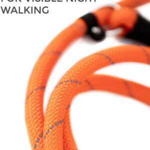 Mighty Paw 6' Slip Dog Leash - Gentle Correction with No More Pulling - Rock Climbers Rope for Ultimate Strength - Universal Design - One Size Fits All - Control When You Need It - Reflective Thread