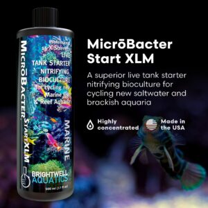 Brightwell Aquatics MicroBacter Start XLM - Concentrated Freshwater Nitrifying Bacteria - Quick Start Fish Tank Starter, Lift Microbe Levels & Water Filtering - Aquarium Water Treatments, 16.9 fl oz