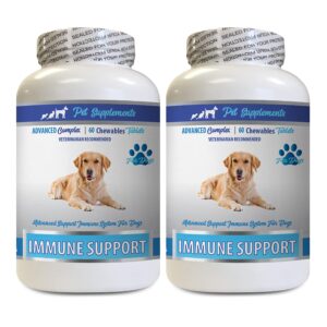 Immune Support Vitamins - Dogs Immune Support - Burdock Root Extract Organic - Burdock Root for Dogs - Immune Dog Pills, Immune Support for Dogs probiotic, Immune Support Supplement 2 Bot (120 Chews