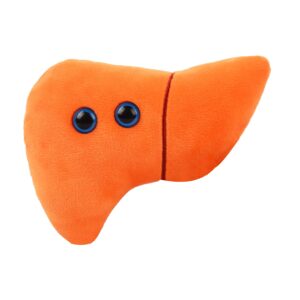 giantmicrobes stuffed liver plush, liver stuffed animal, anatomical liver, hepatologist gift, liver transplant gifts, hepatitis gift, hepatology gift, cirrhosis gift, liver pillow, liver donor gift