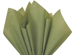 tapestry green tissue paper squares, bulk 24 sheets, premium gift wrap and art supplies for birthdays, holidays, or presents by feronia packaging, large 20 inch x 30 inch