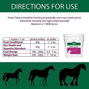 Stance Power Powdered Coconut Oil Horse Supplement - May Support Coat Condition, Digestive Health and Stamina, GMO & Sugar Free - 15 lb