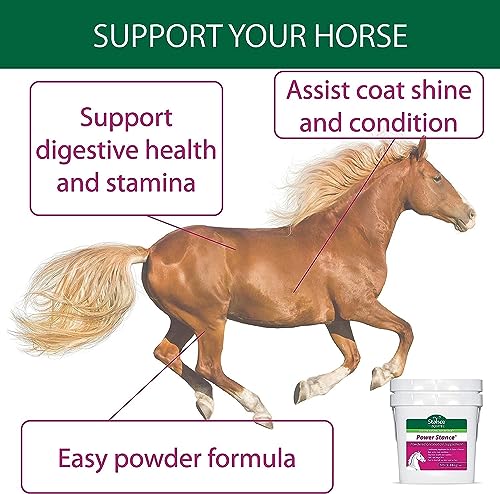 Stance Power Powdered Coconut Oil Horse Supplement - May Support Coat Condition, Digestive Health and Stamina, GMO & Sugar Free - 15 lb