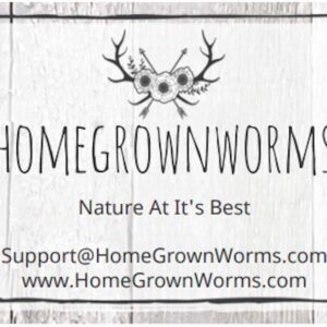 HomeGrownWorms - 24ct European Nightcrawlers - Plus Free Live Bait Container! - Guaranteed Live Delivery (2"- 4") Night Crawlers - Great Fishing Bait, Predatory Pet Food and Garden Worms!