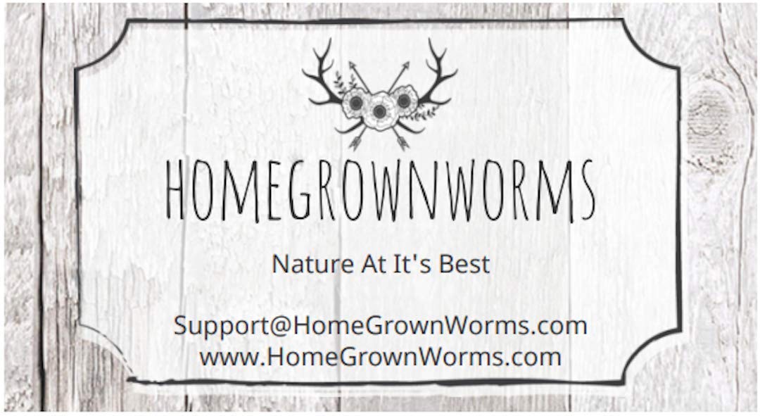 HomeGrownWorms - 24ct European Nightcrawlers - Plus Free Live Bait Container! - Guaranteed Live Delivery (2"- 4") Night Crawlers - Great Fishing Bait, Predatory Pet Food and Garden Worms!