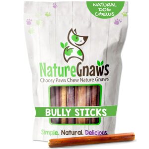 nature gnaws bully sticks for dogs 5-6" (1lb) - mixed thickness - long lasting for aggressive chewers and large dogs - natural beef dog chew bones