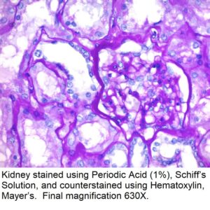 Schiff's Solution, 500ml