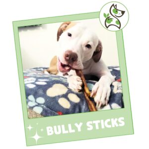 Nature Gnaws Bully Sticks for Dogs 5-6" (1Lb) - Mixed Thickness - Long Lasting for Aggressive Chewers and Large Dogs - Natural Beef Dog Chew Bones