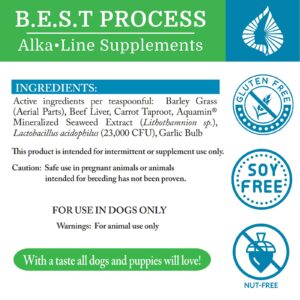 Alka•Dog — Morter HealthSystem Best Process Alkaline — Nutrient Rich Superfood Powder for Dogs with Probiotics, Trace Minerals, Enzymes & Antioxidants