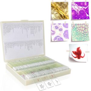 100pcs prepared microscope slides set professional specimens for kids student homeschool use