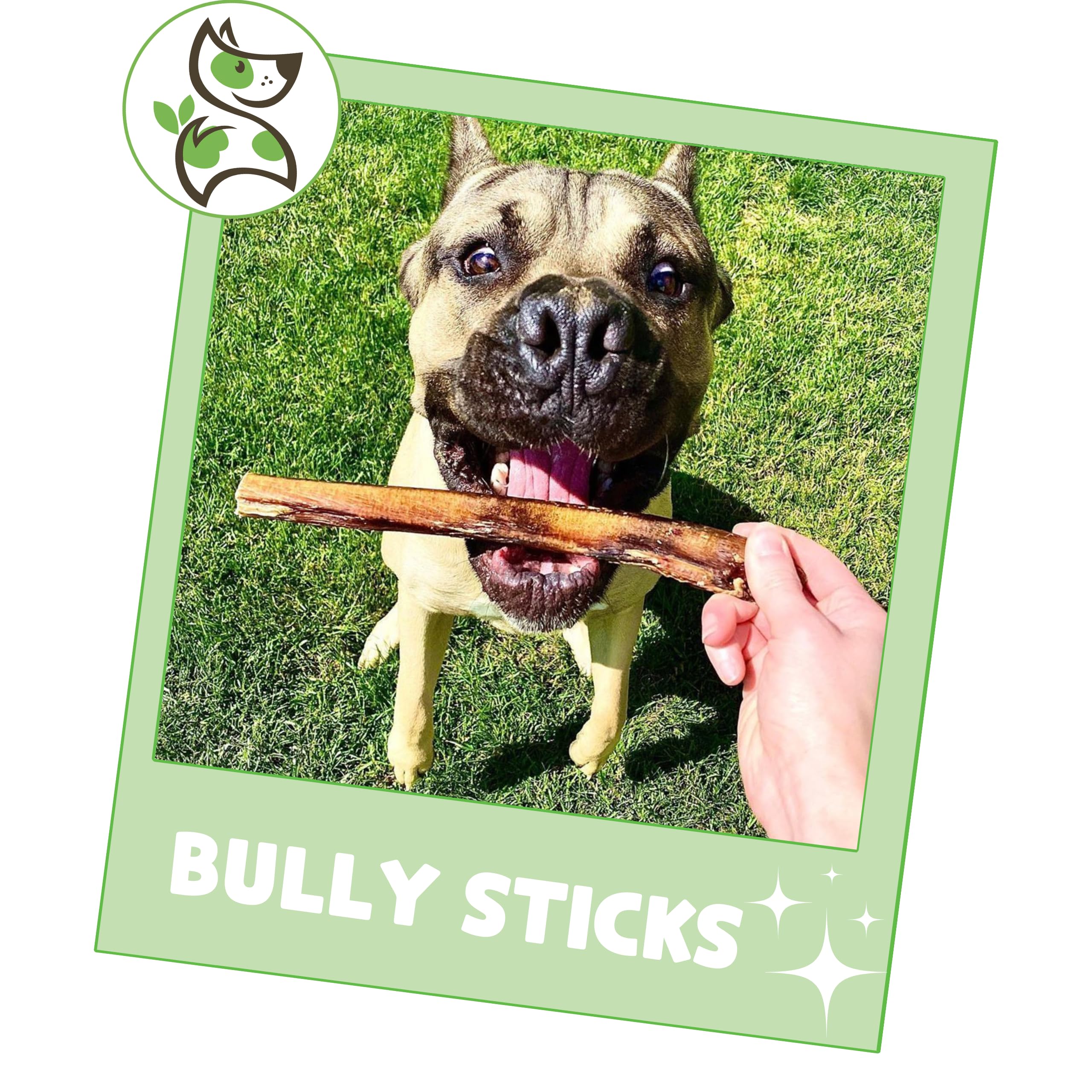 Nature Gnaws Bully Sticks for Dogs 5-6" (1Lb) - Mixed Thickness - Long Lasting for Aggressive Chewers and Large Dogs - Natural Beef Dog Chew Bones