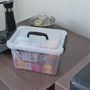 AnnkkyUS 6 L Clear Plastic Storage Box, Storage Bin with Lid and Handle Set of 4