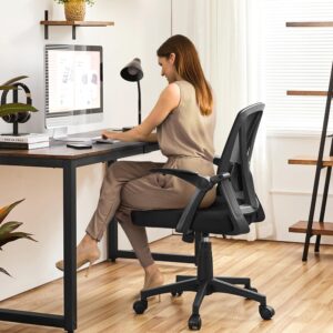 Yaheetech Set of 2 Mid-Back Mesh Office Desk Chair Ergonomic Task Swivel Rolling Executive Chair with Adjustable Arms and Lumbar Support for Office Conference Room and Study Room, Black