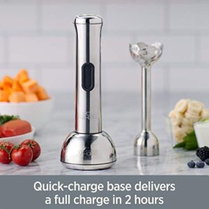 All-Clad Cordless Rechargeable Stainless Steel Immersion Multi-Functional Hand Blender, 5-Speed, Silver