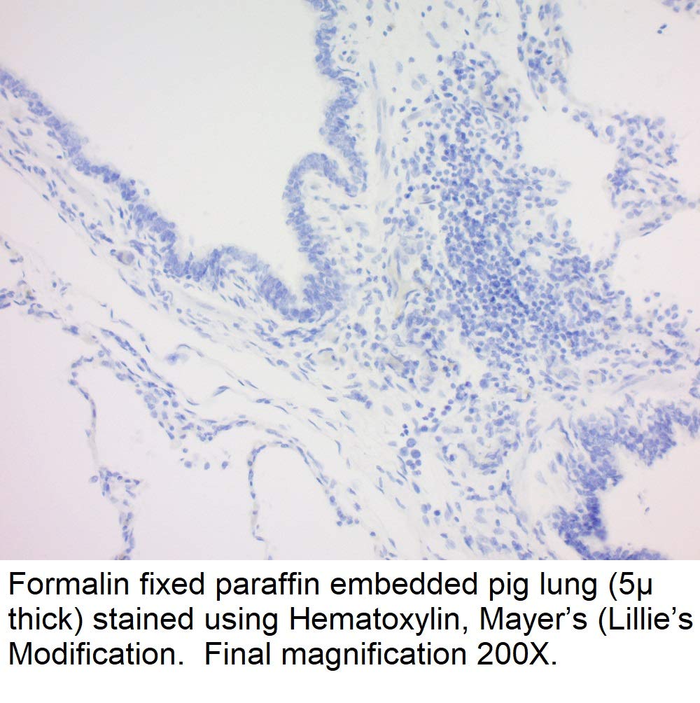 Hematoxylin, Mayer's (Lillie's Modification), 1000ml