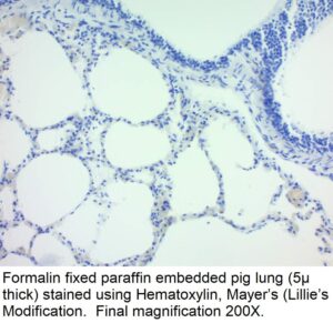 Hematoxylin, Mayer's (Lillie's Modification), 1000ml