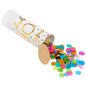 Sparkle and Bash 20 Pack Rainbow Confetti Shakers, Party Confetti Bulk Pack for Wedding, Bridal Shower, Graduation