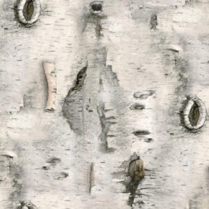 tree fabric landscape medley birch bark in gray fabric by the yard