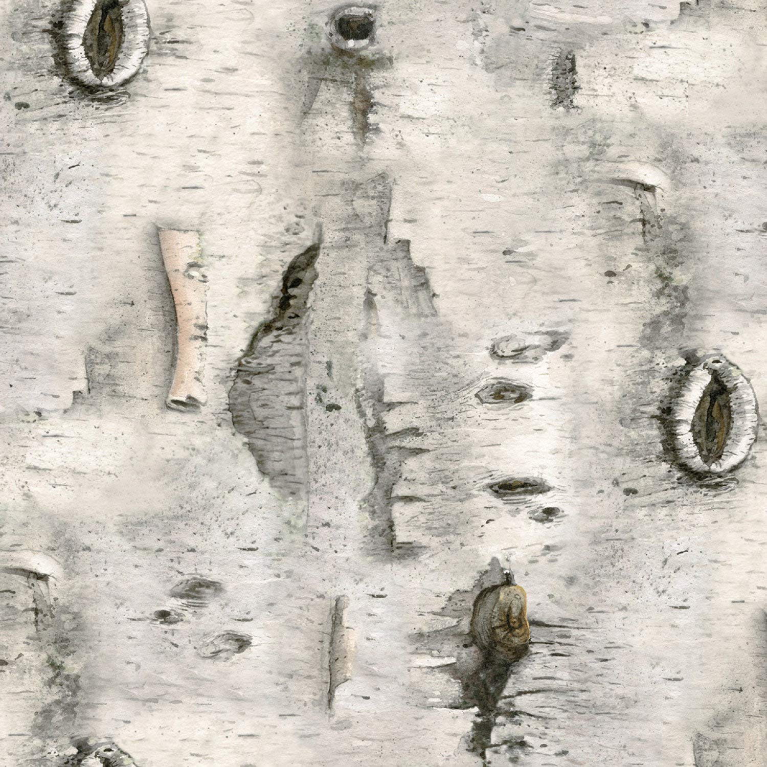 Tree Fabric Landscape Medley Birch Bark in Gray Fabric by The Yard